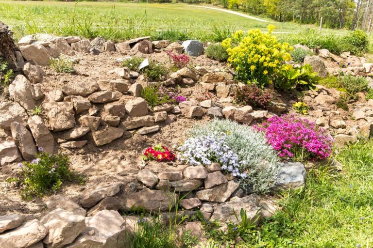 7 idées éblouissantes pour transformer votre jardin rocailleux en un ...